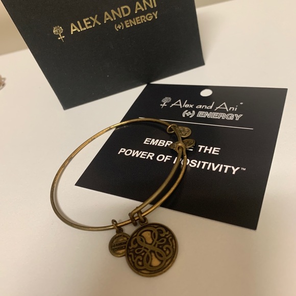 Alex and Ani | Jewelry | Alex And Ani Power Of Positive Energy Bracelet ...